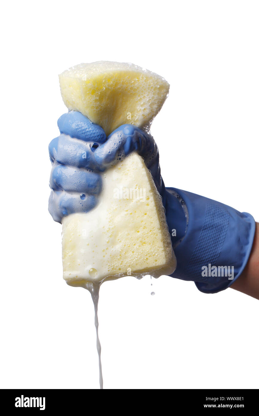 Hand holding a yellow sponge dripping with soapy water Stock Photo - Alamy