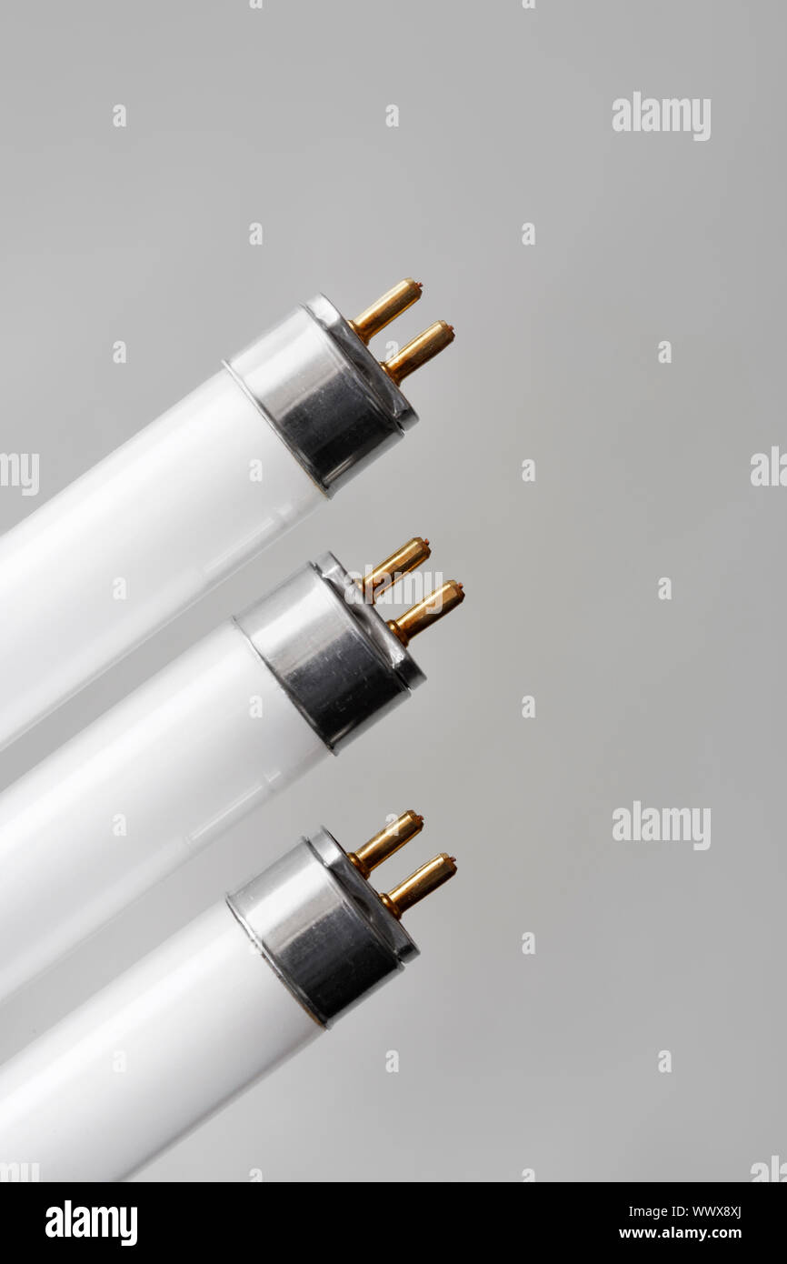 Fluorescent Tube End Connectors at Archie Beamont blog