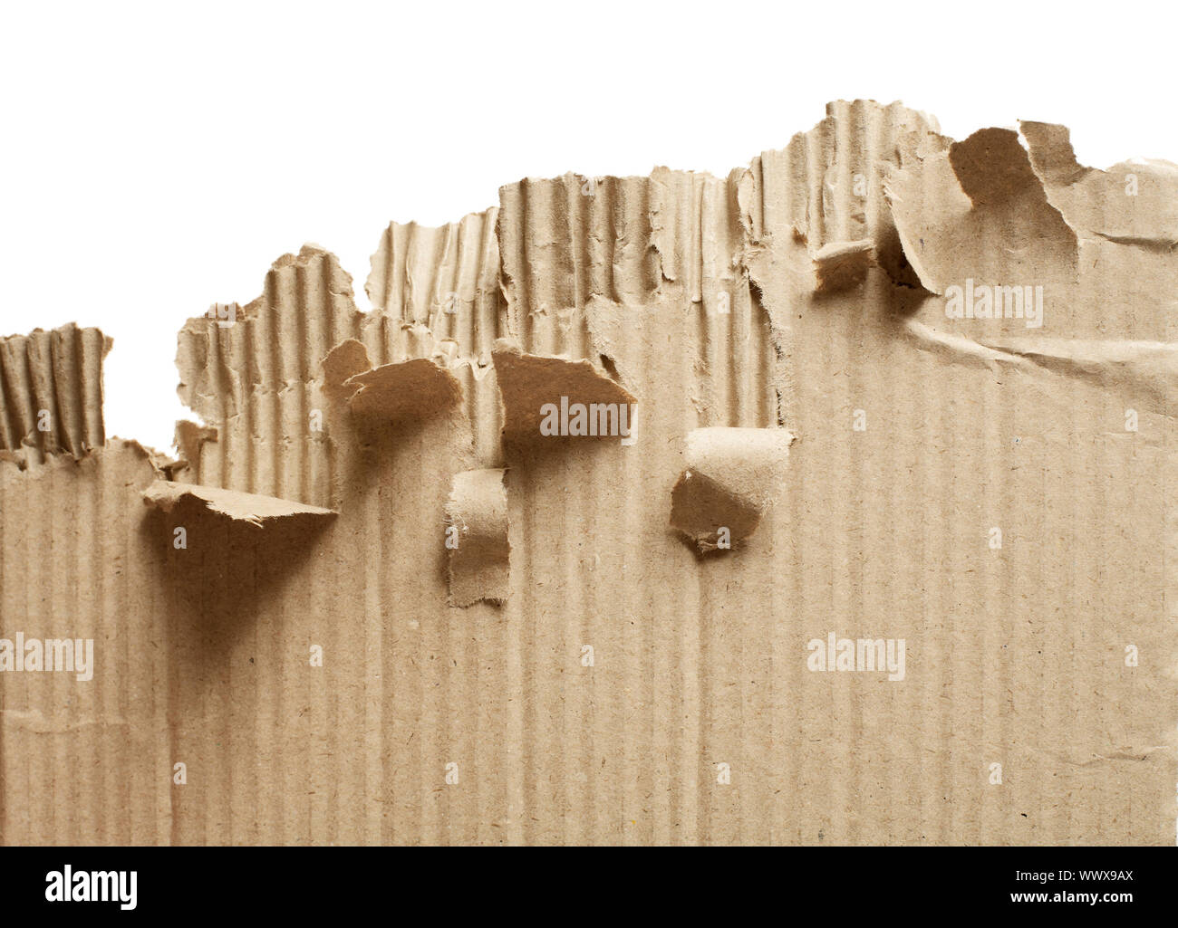 Torn brown corrugated cardboard on white background Stock Photo - Alamy