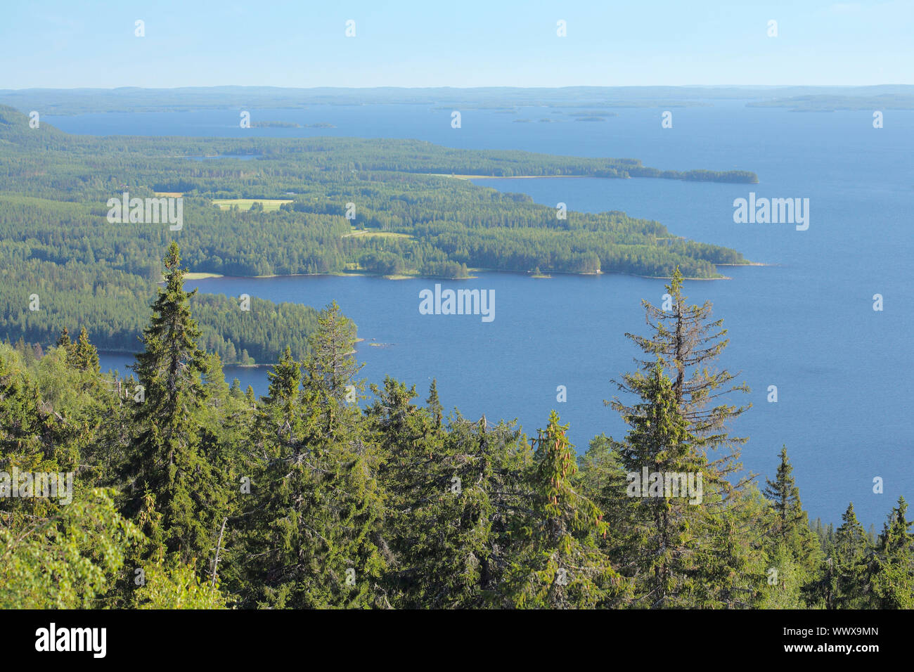 Scenery from koli national hi-res stock photography and images - Alamy