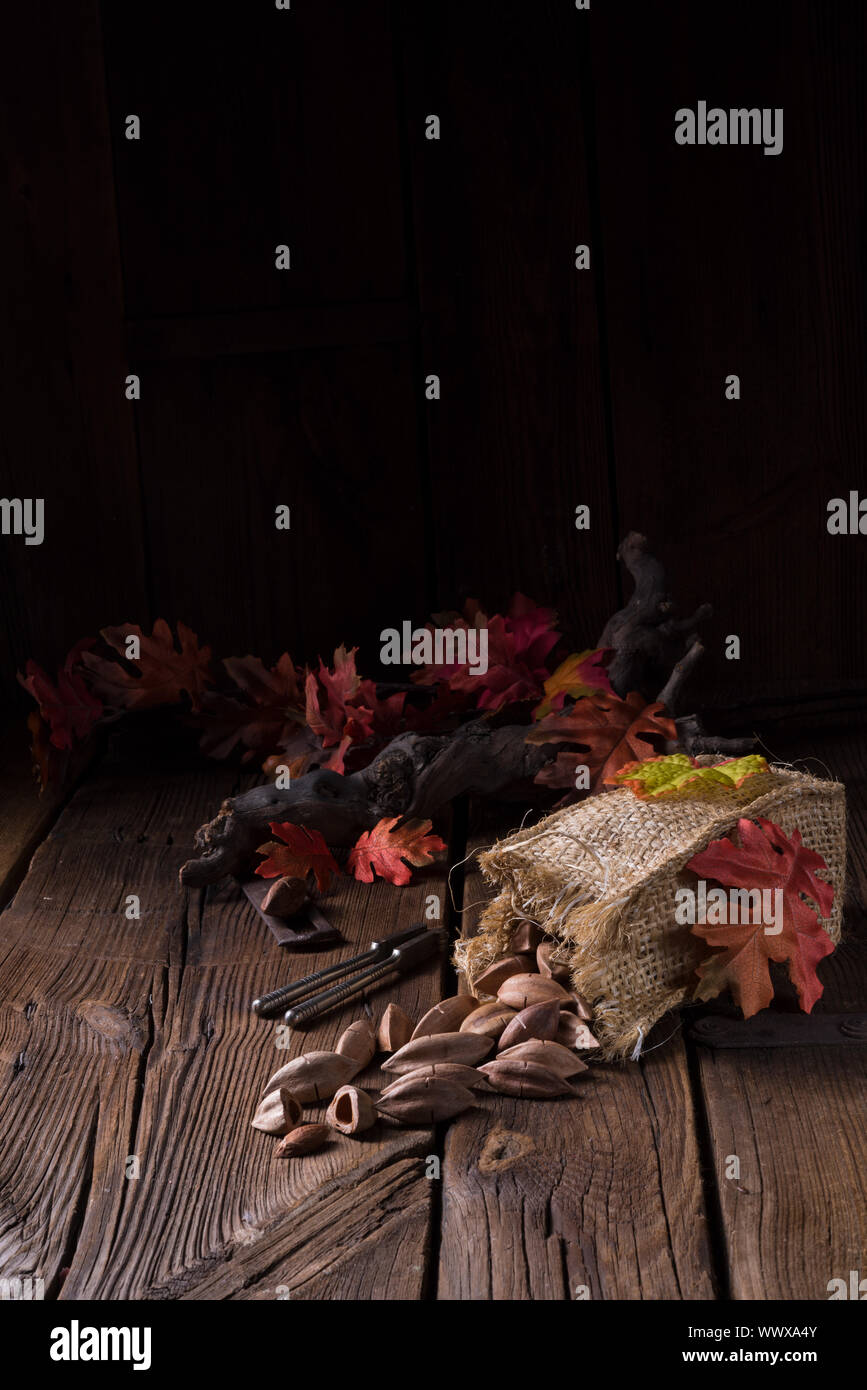 Canarium ovatum, commonly known as pili is a species of tropical tree ...