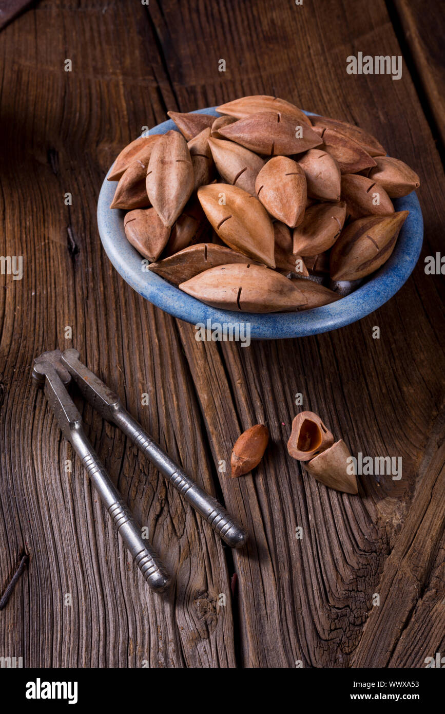 Canarium ovatum, commonly known as pili is a species of tropical tree ...