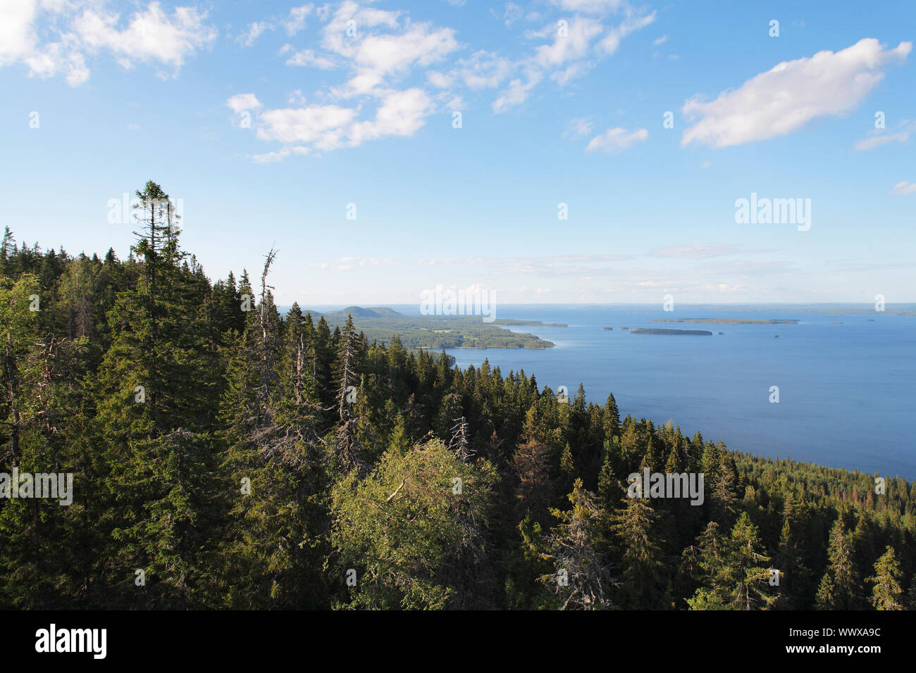 A View from Koli national park vantage point, Finland Stock Photo - Alamy