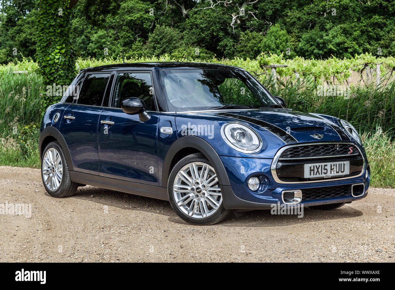 2015 mini door hi-res stock photography and images - Alamy
