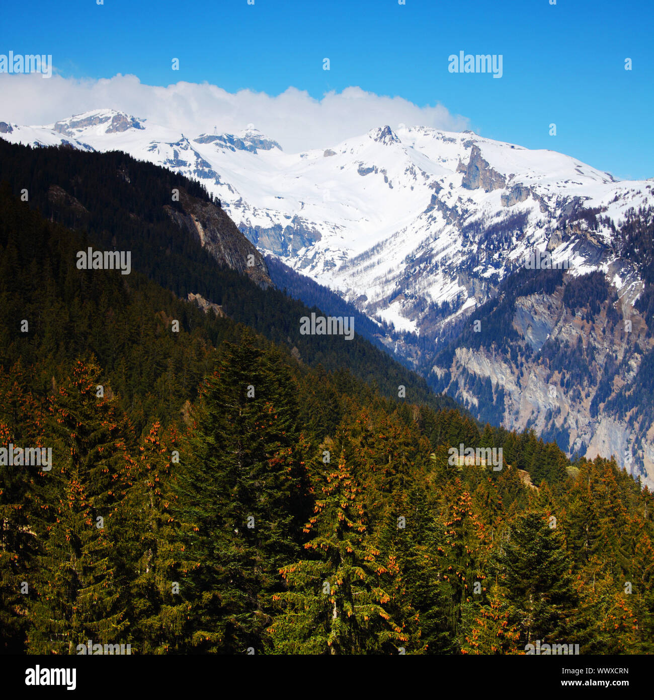 spring alps mountains scene background Stock Photo - Alamy