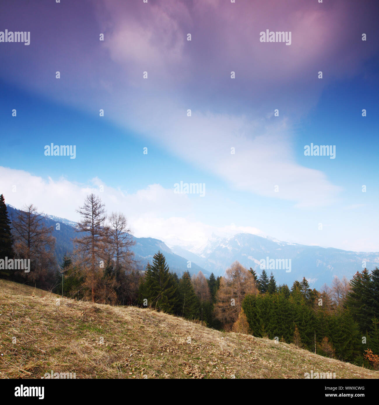 spring alps mountains scene background Stock Photo - Alamy