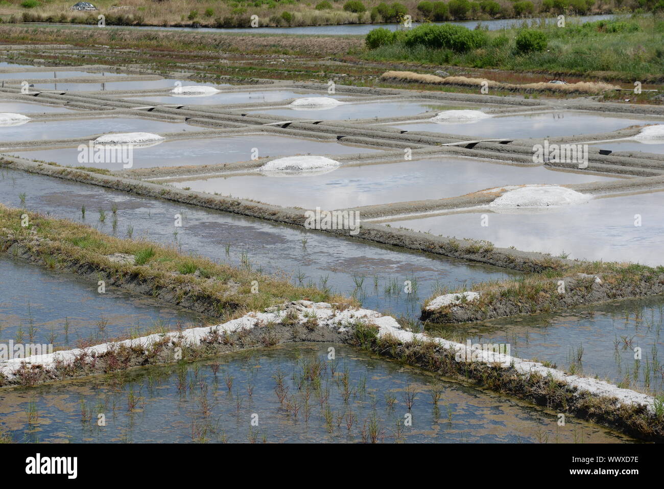 Salt extraction at Batz-sur-Mer, France Stock Photo - Alamy