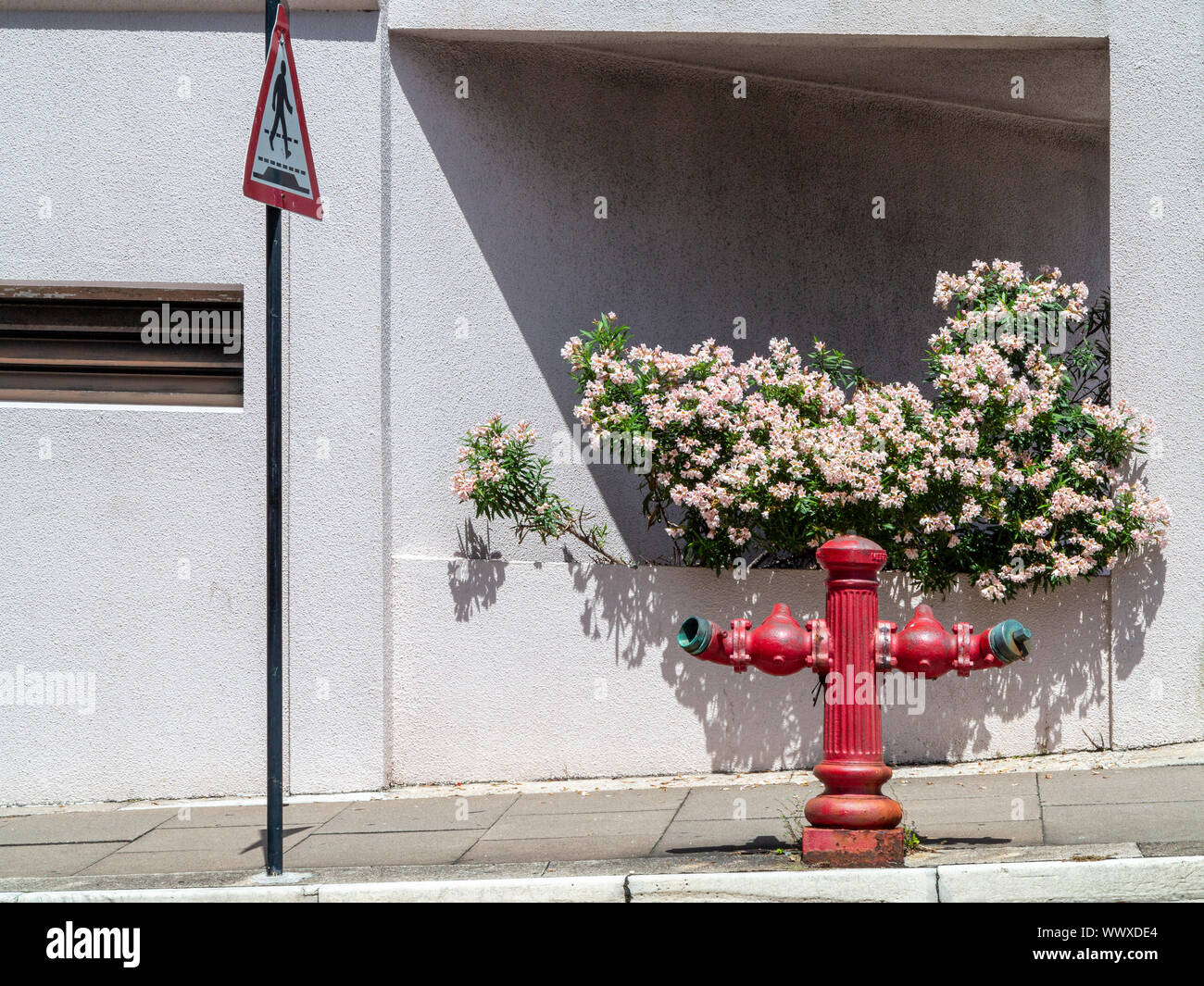 Two sided red roadside fire hydrant on a pavement in Hamilton Bermuda ...