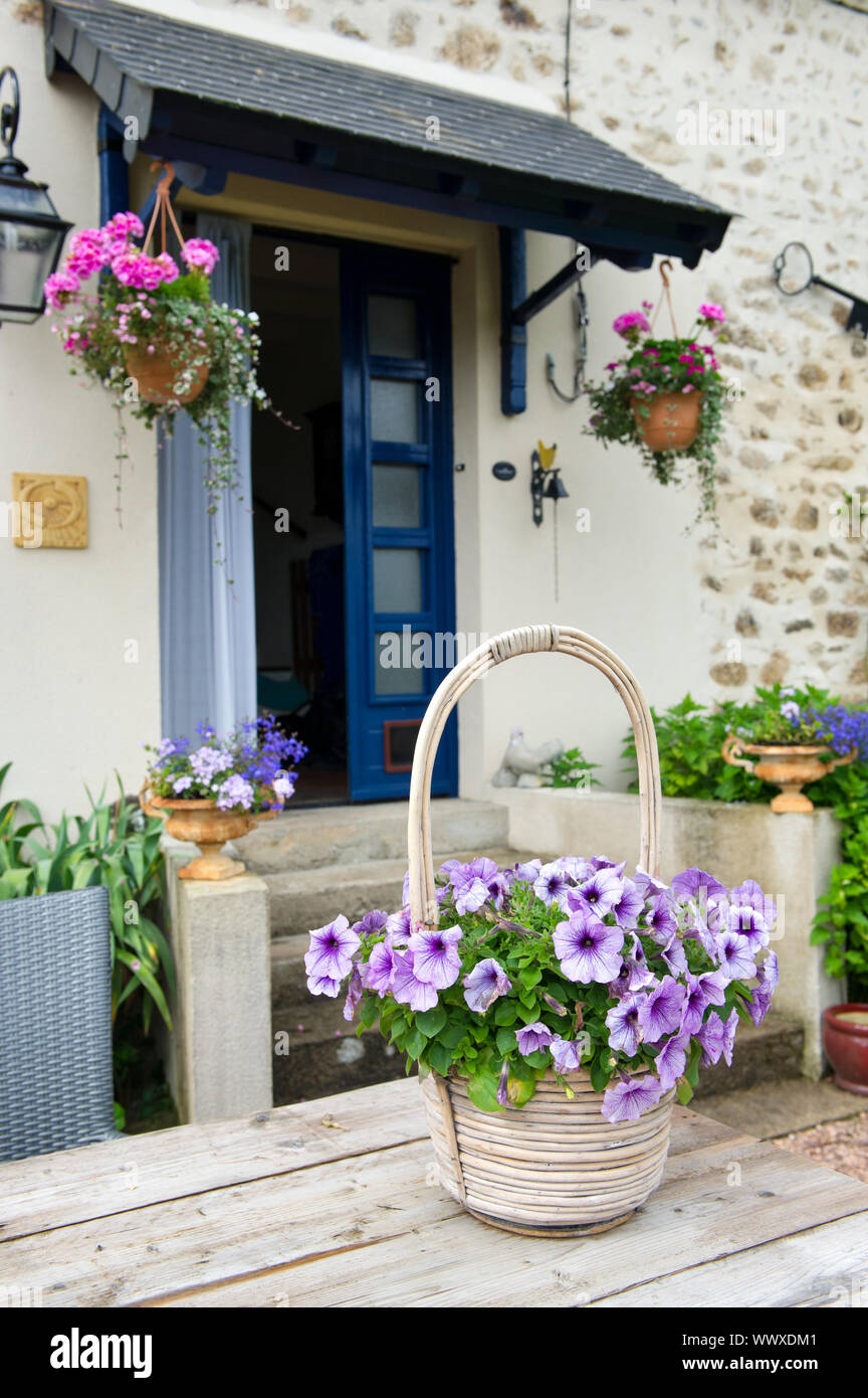 Flower pot Pink Petunias in French garden Stock Photo - Alamy