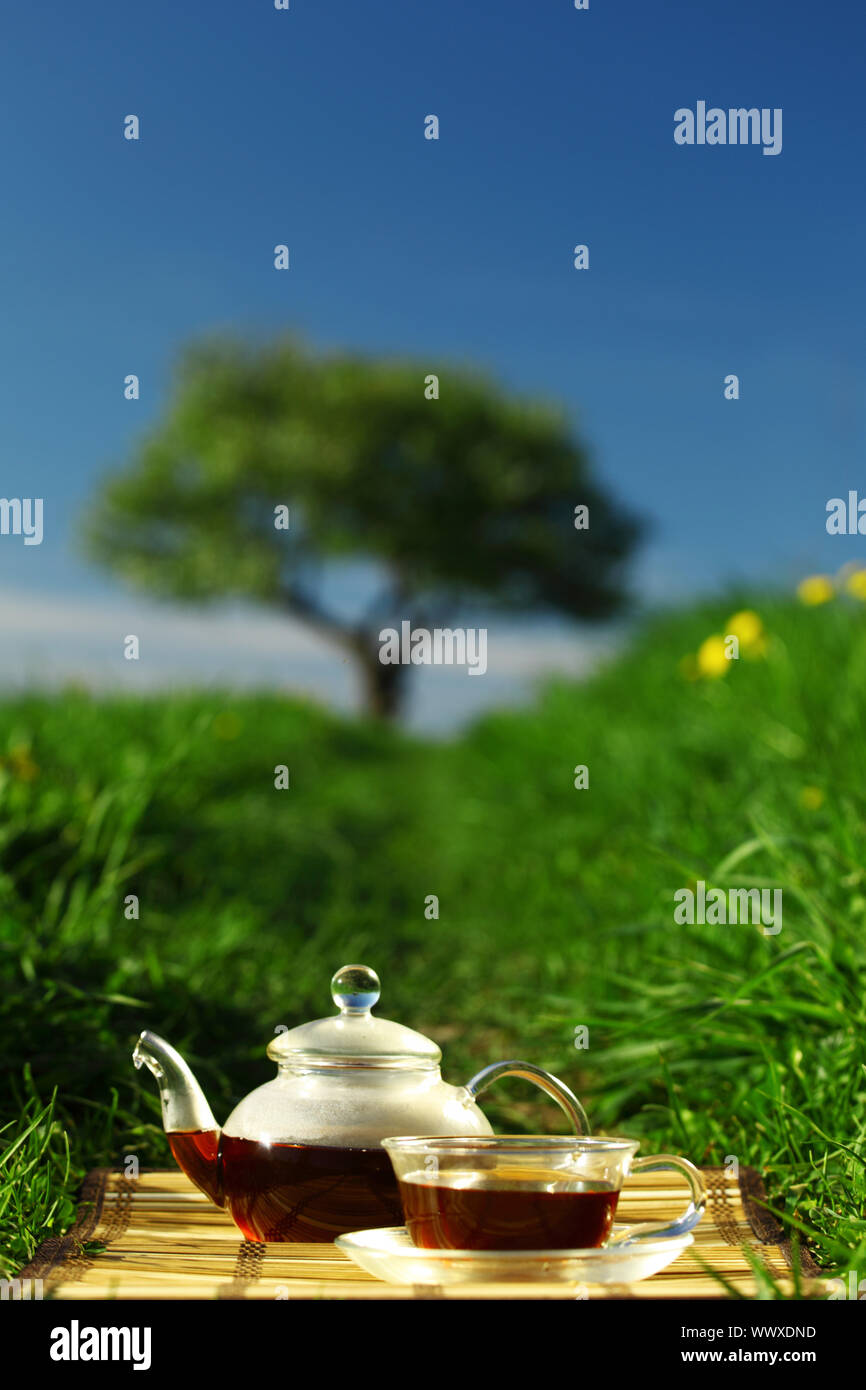 Big blue teapot hi-res stock photography and images - Alamy