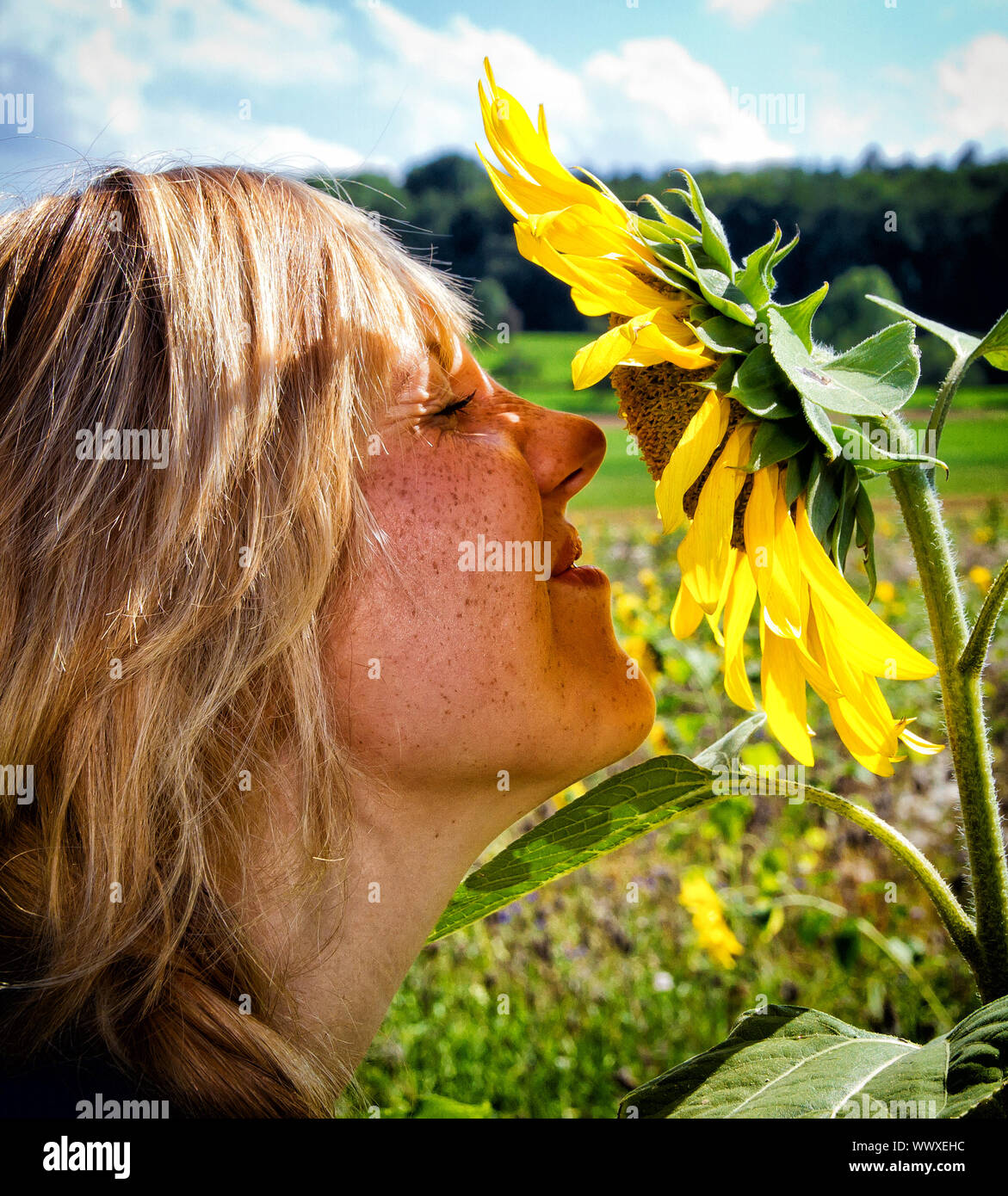 Funny sunflower hi-res stock photography and images - Alamy