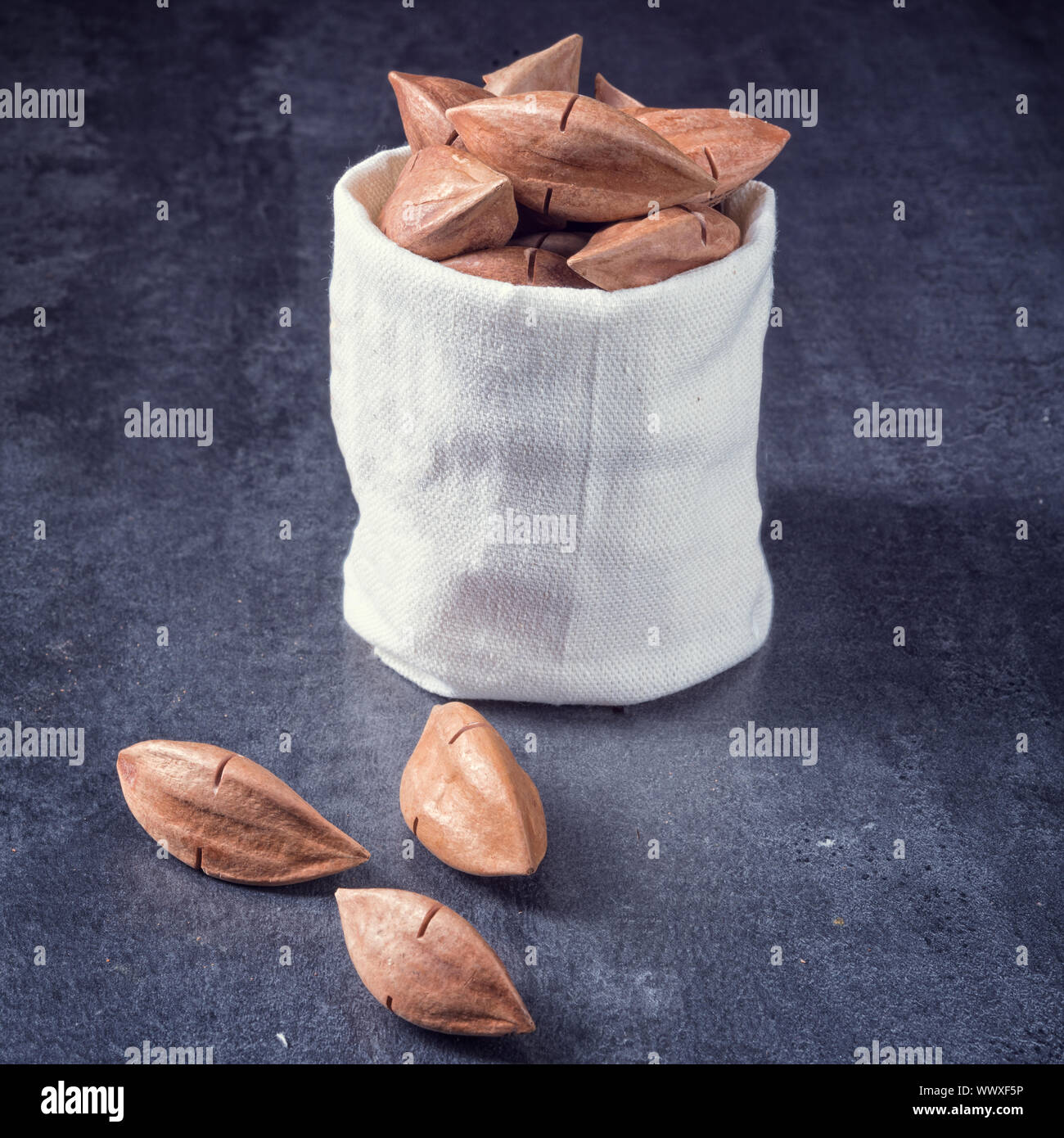 Philippine shell hi-res stock photography and images - Alamy