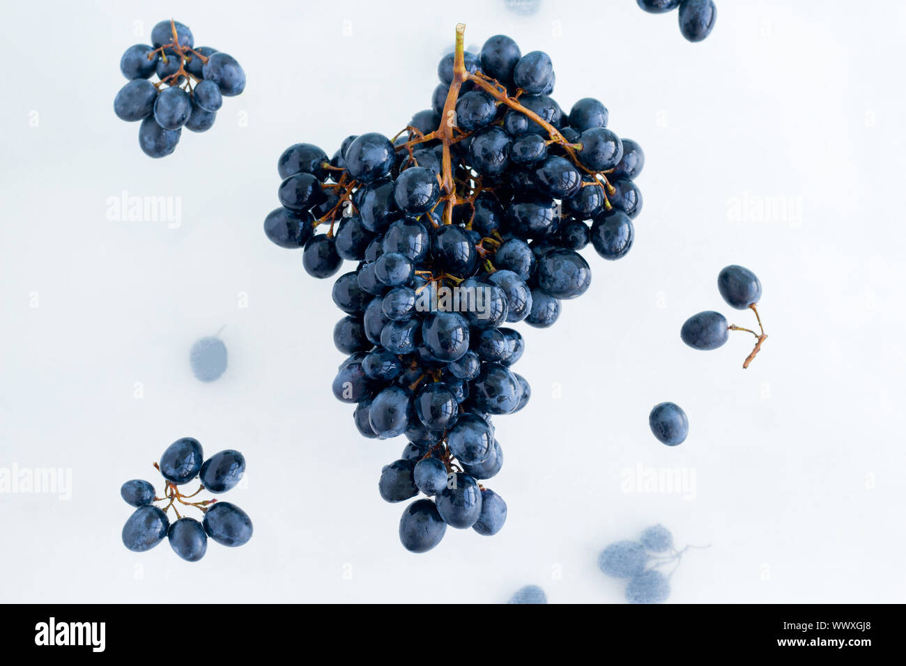 fresh ripe organic black grapes levitate in the air on white background ...