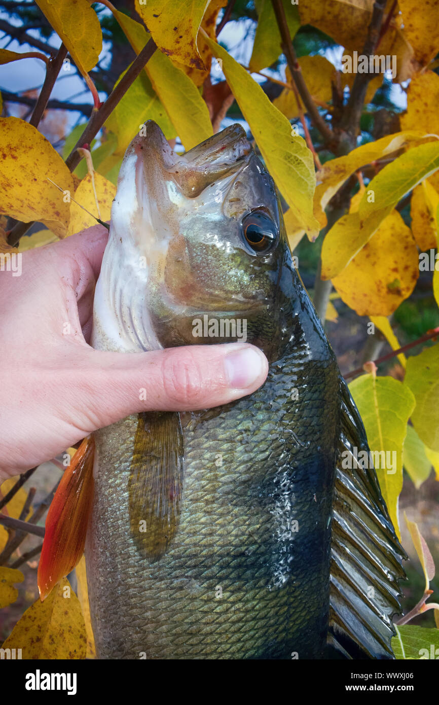 Spining High Resolution Stock Photography and Images - Alamy