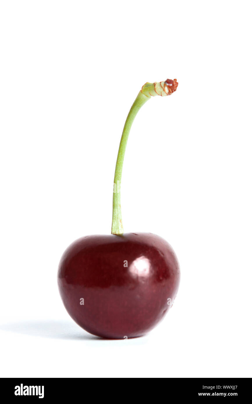 One cherry isolated on a white background Stock Photo - Alamy