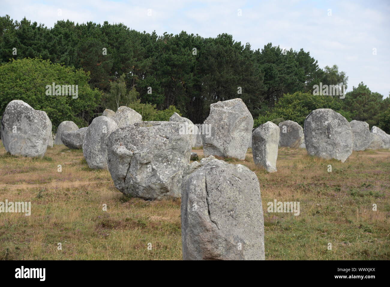 Menhirs at Carnac, Brittany Stock Photo - Alamy