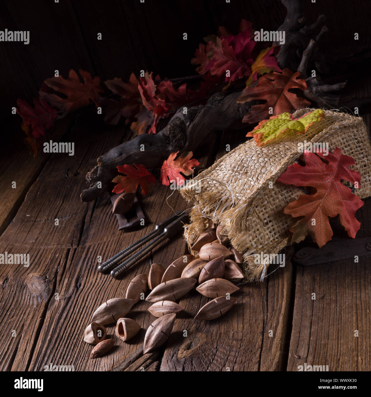 Canarium ovatum, commonly known as pili is a species of tropical tree ...