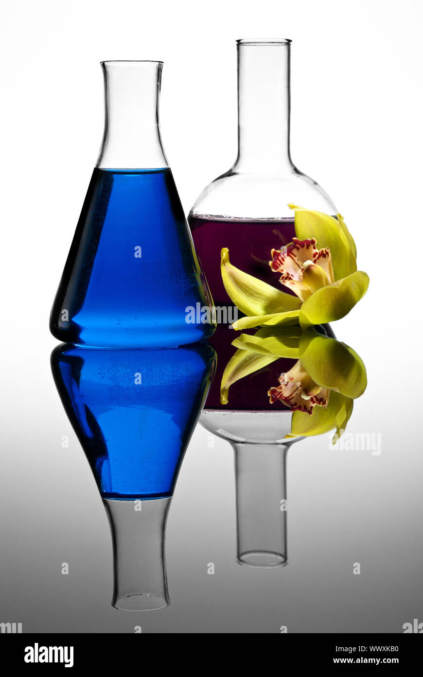 Two colorful flasks with flower, isolated on white Stock Photo - Alamy