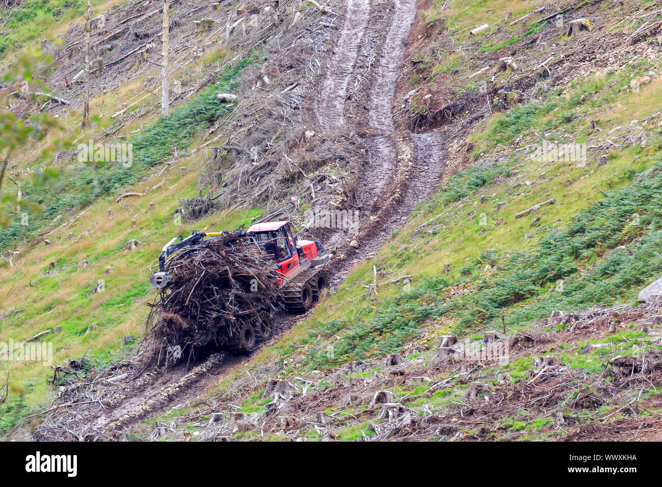 MOFFAT, SCOTLAND - AUGUST 15, 2019: Forestry machine working on a steep ...
