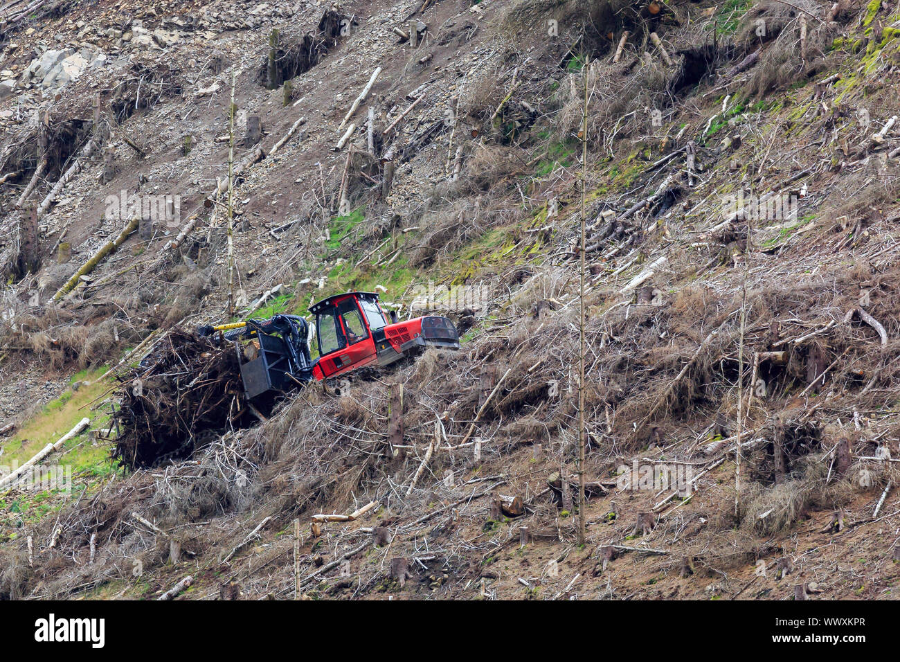 MOFFAT, SCOTLAND - AUGUST 15, 2019: Forestry machine working on a steep ...