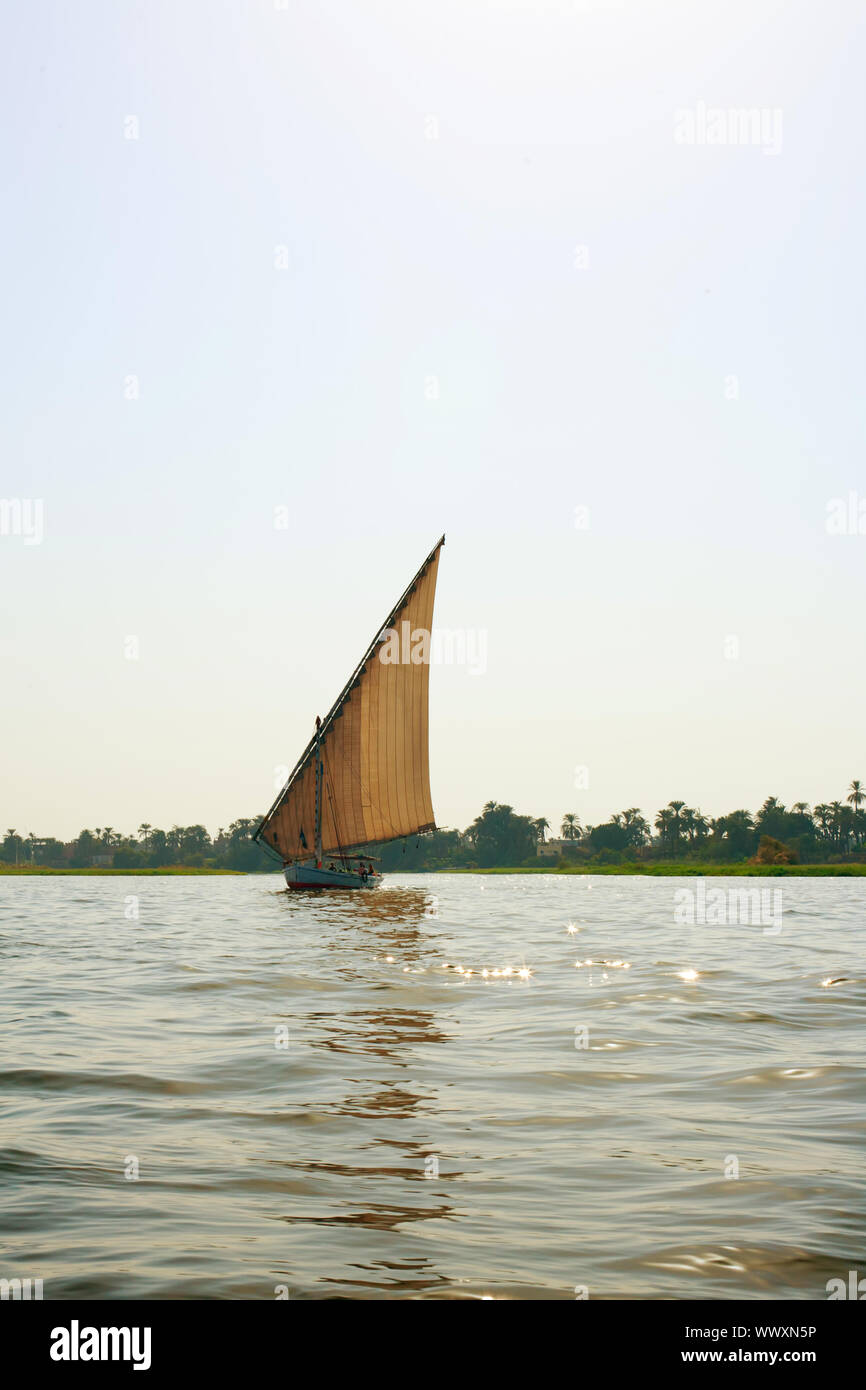 Faluka on the Nile river in evening time, Egypt Stock Photo - Alamy