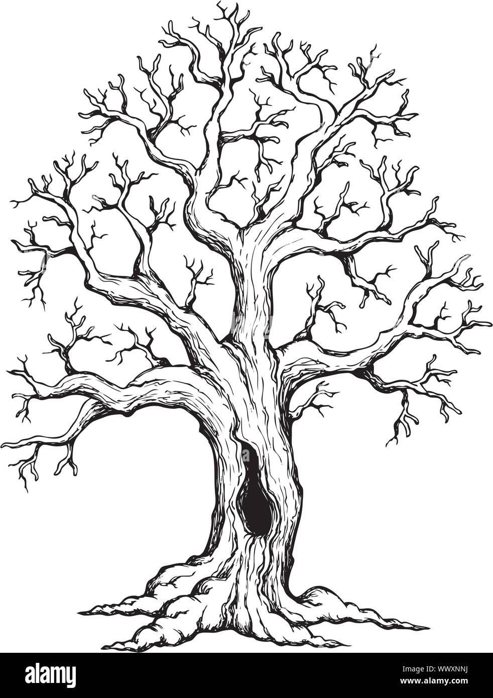 Tree theme drawing 1 Stock Vector Image & Art - Alamy