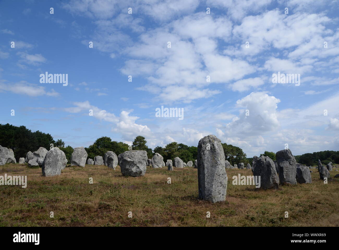 Menhirs at Carnac Stock Photo - Alamy
