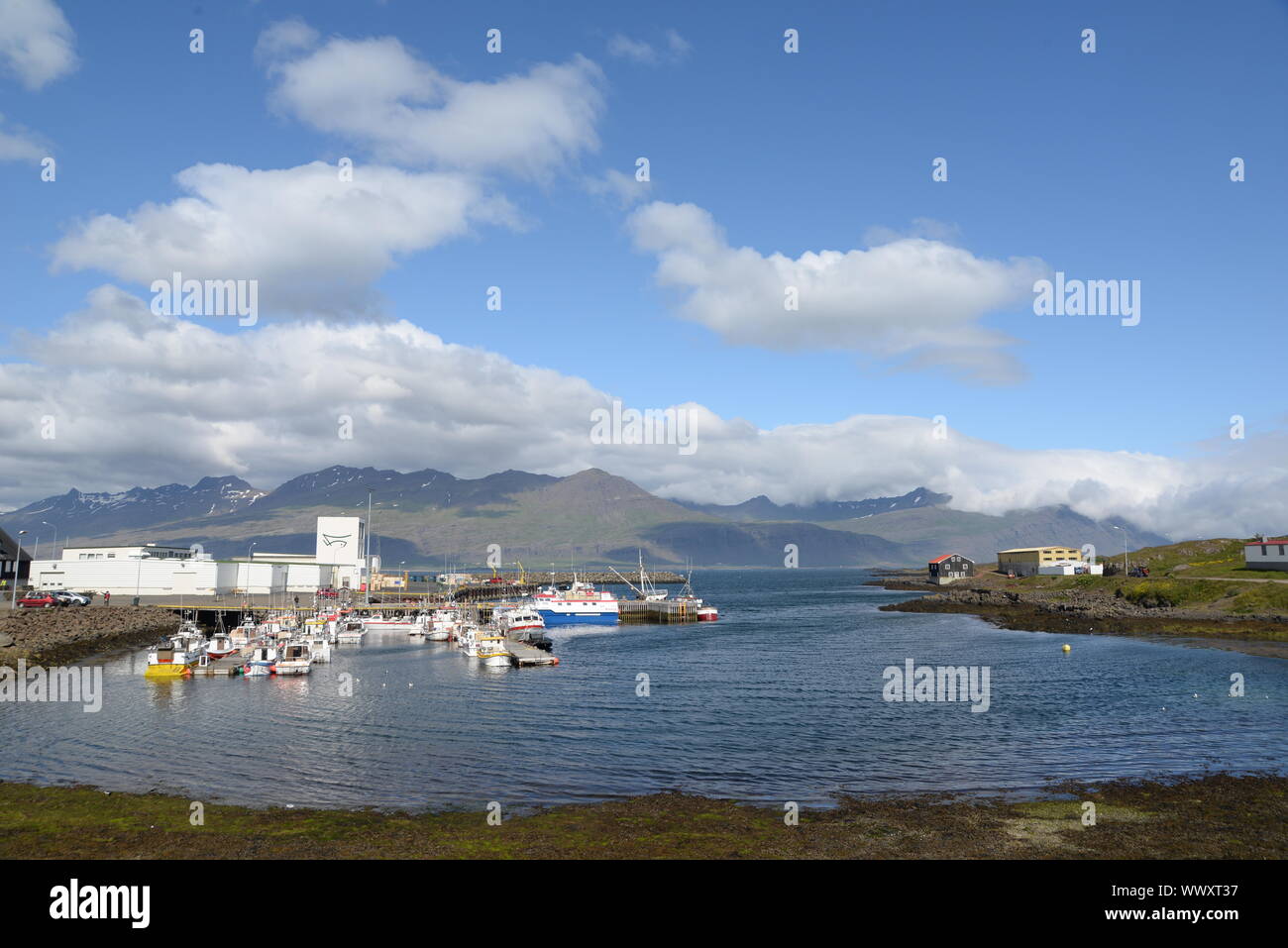 Port of Djupivogur, Iceland Stock Photo - Alamy