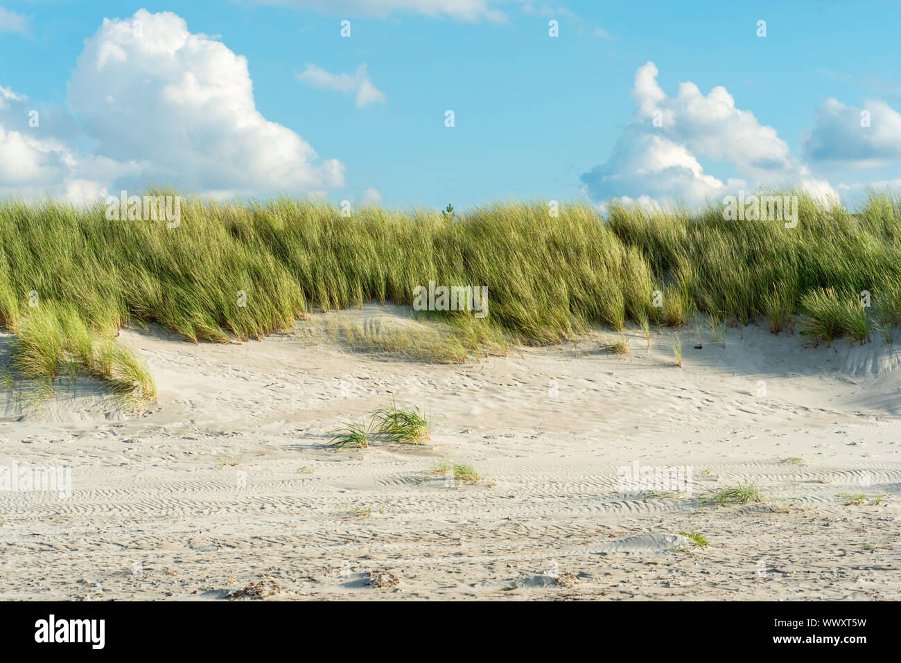 Coastline near the village Dierhagen. The northeastern part of Germany ...
