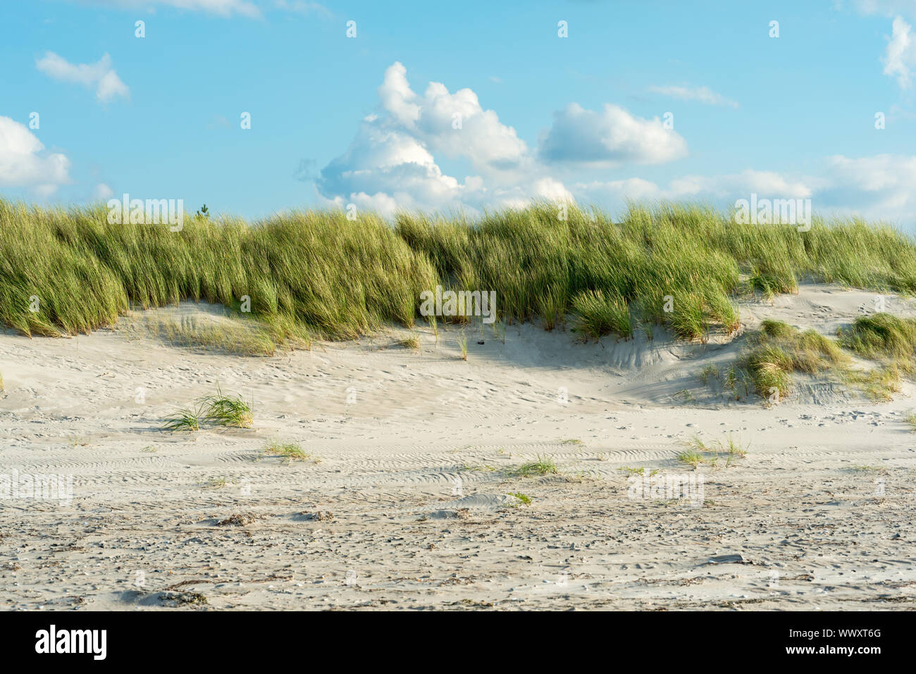 Coastline near the village Dierhagen. The northeastern part of Germany ...