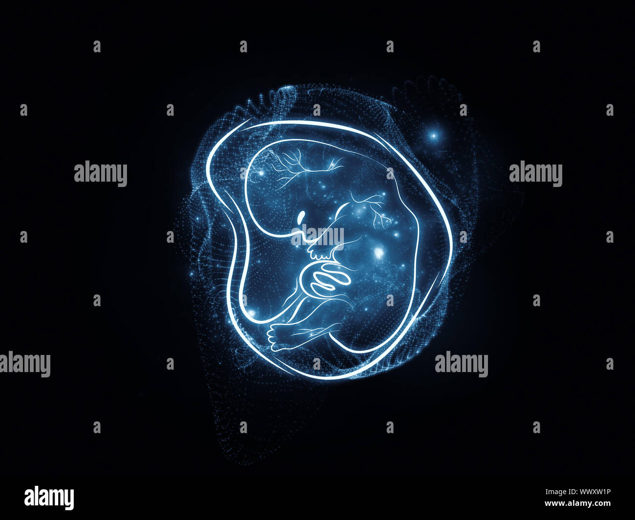Human fetal development in art hi-res stock photography and images - Alamy