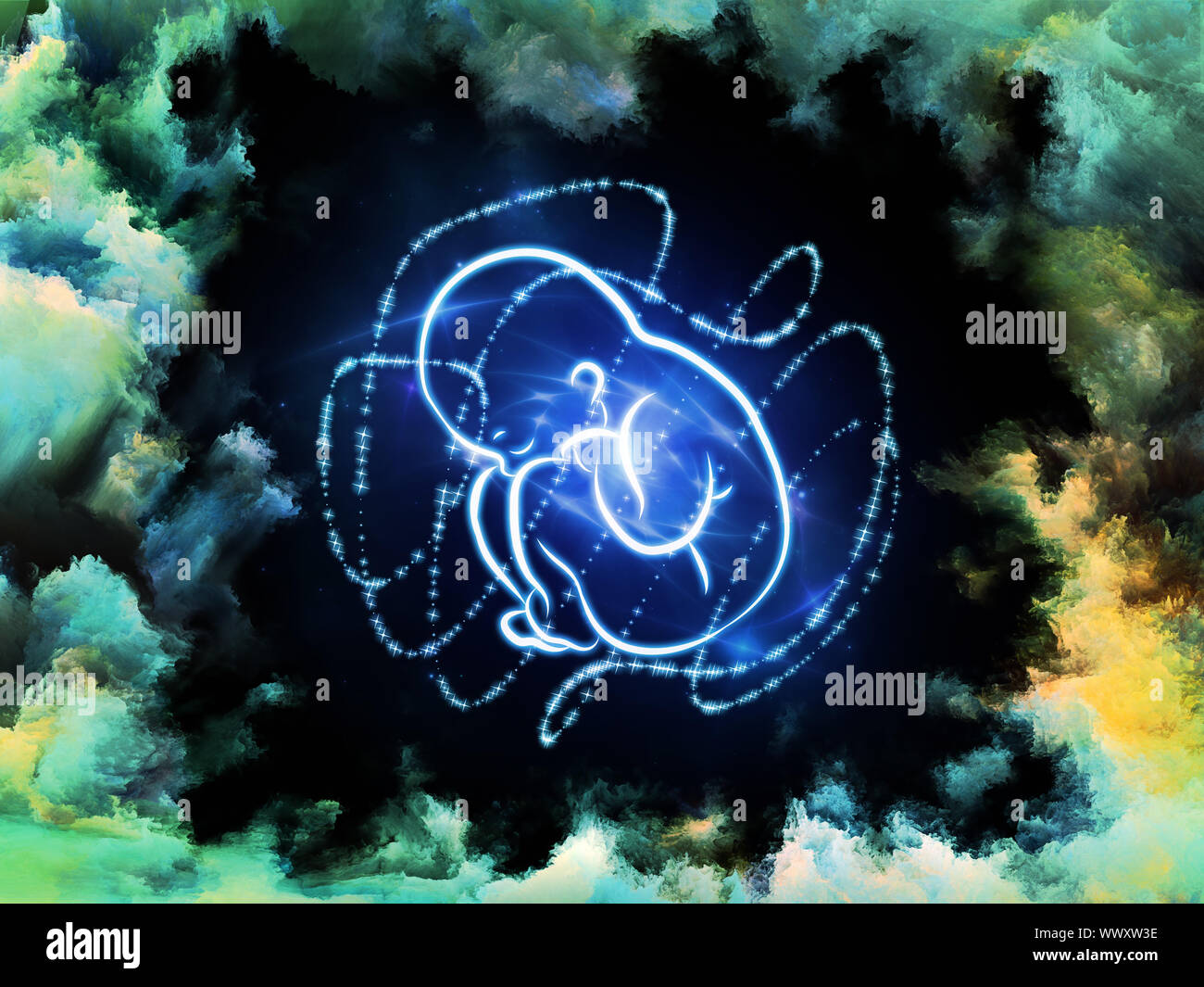 Placenta frame hi-res stock photography and images - Alamy