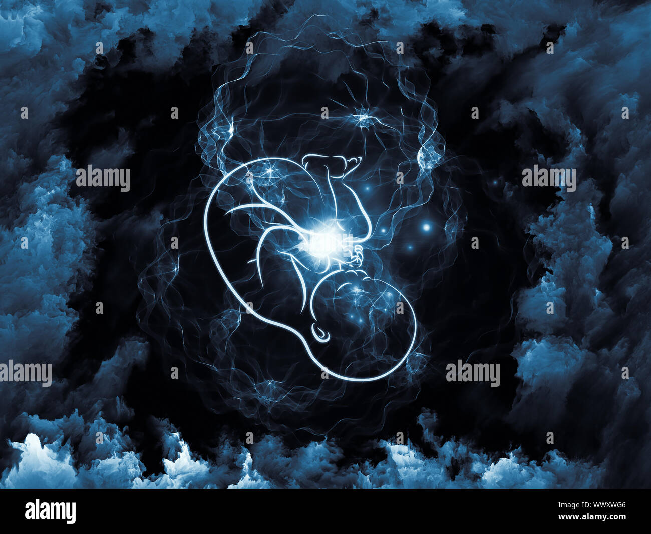 Placenta frame hi-res stock photography and images - Alamy