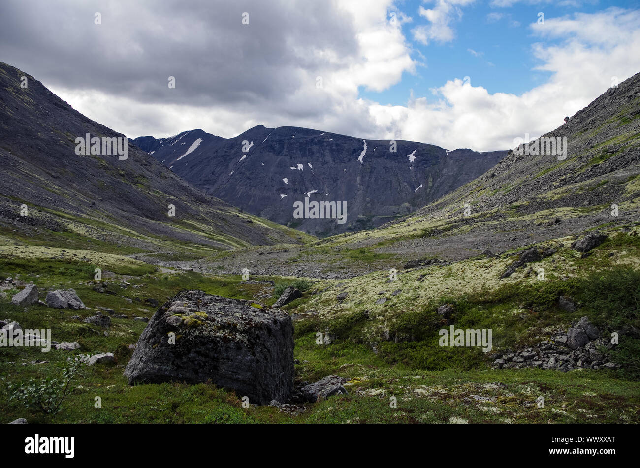 Mountain tundra with mosses and rocks covered with lichens, Hibiny ...