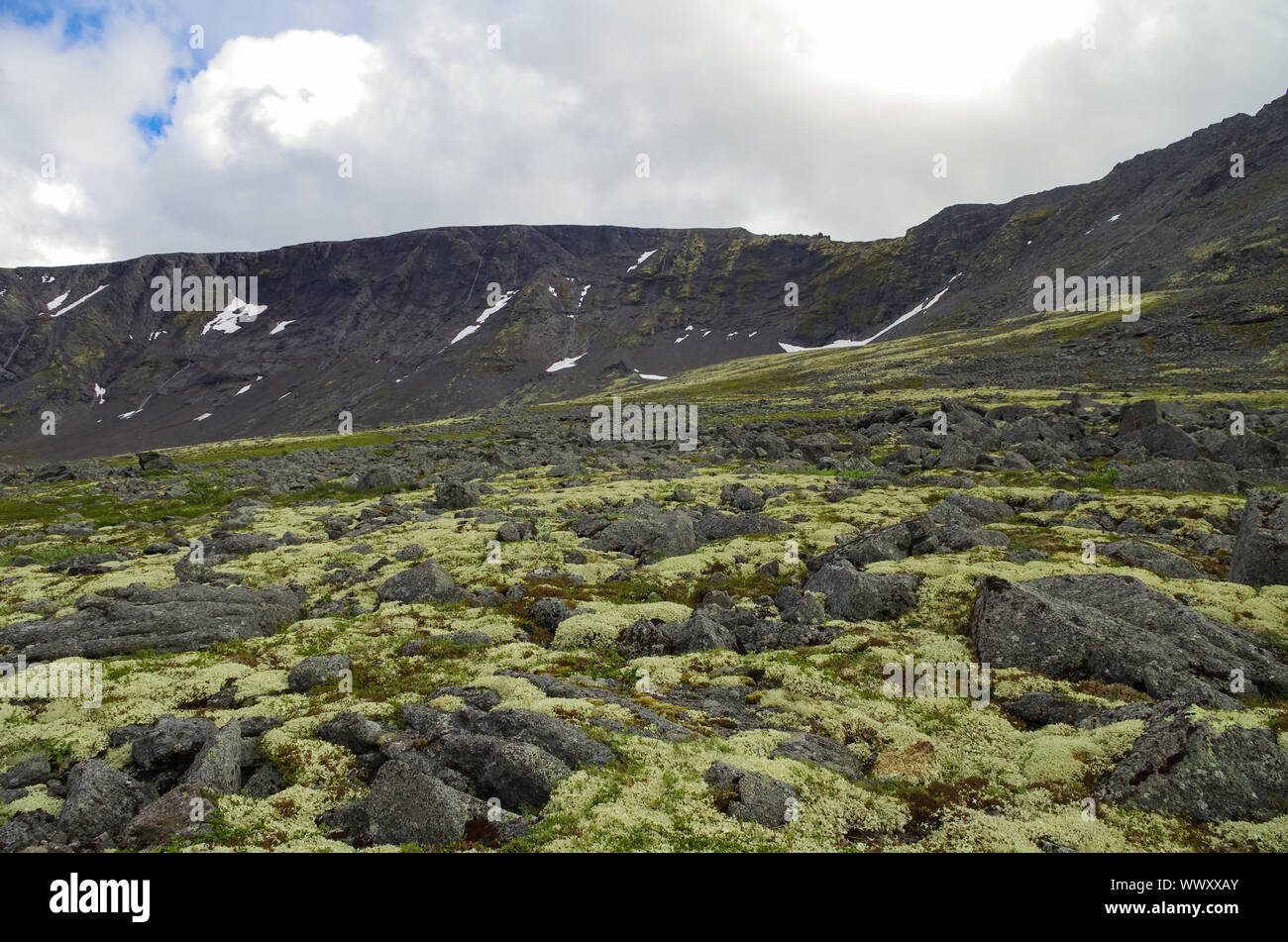 Mountain tundra with mosses and rocks covered with lichens, Hibiny ...