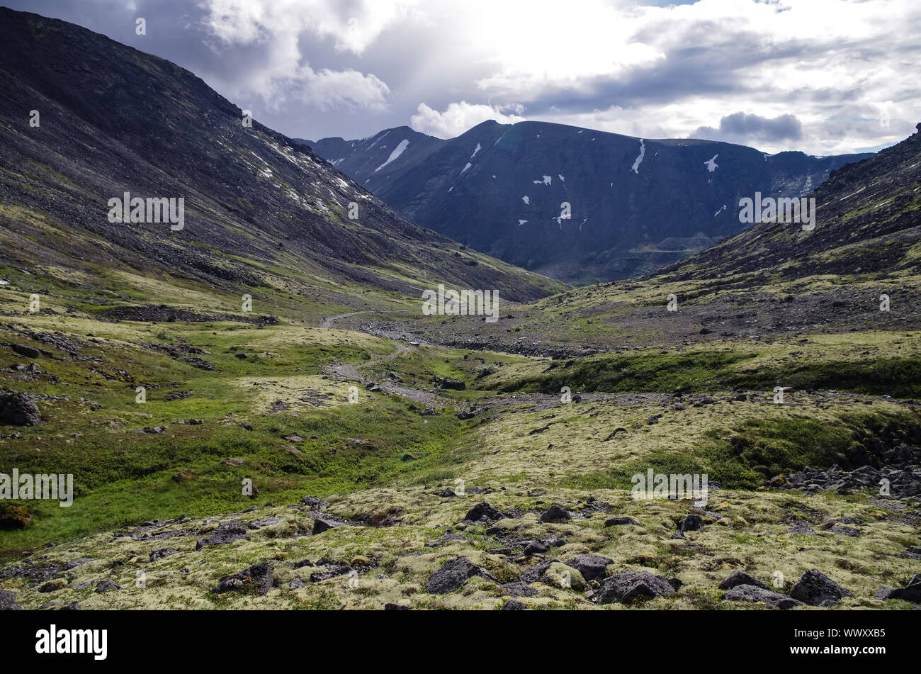 Mountain tundra with mosses and rocks covered with lichens, Hibiny ...