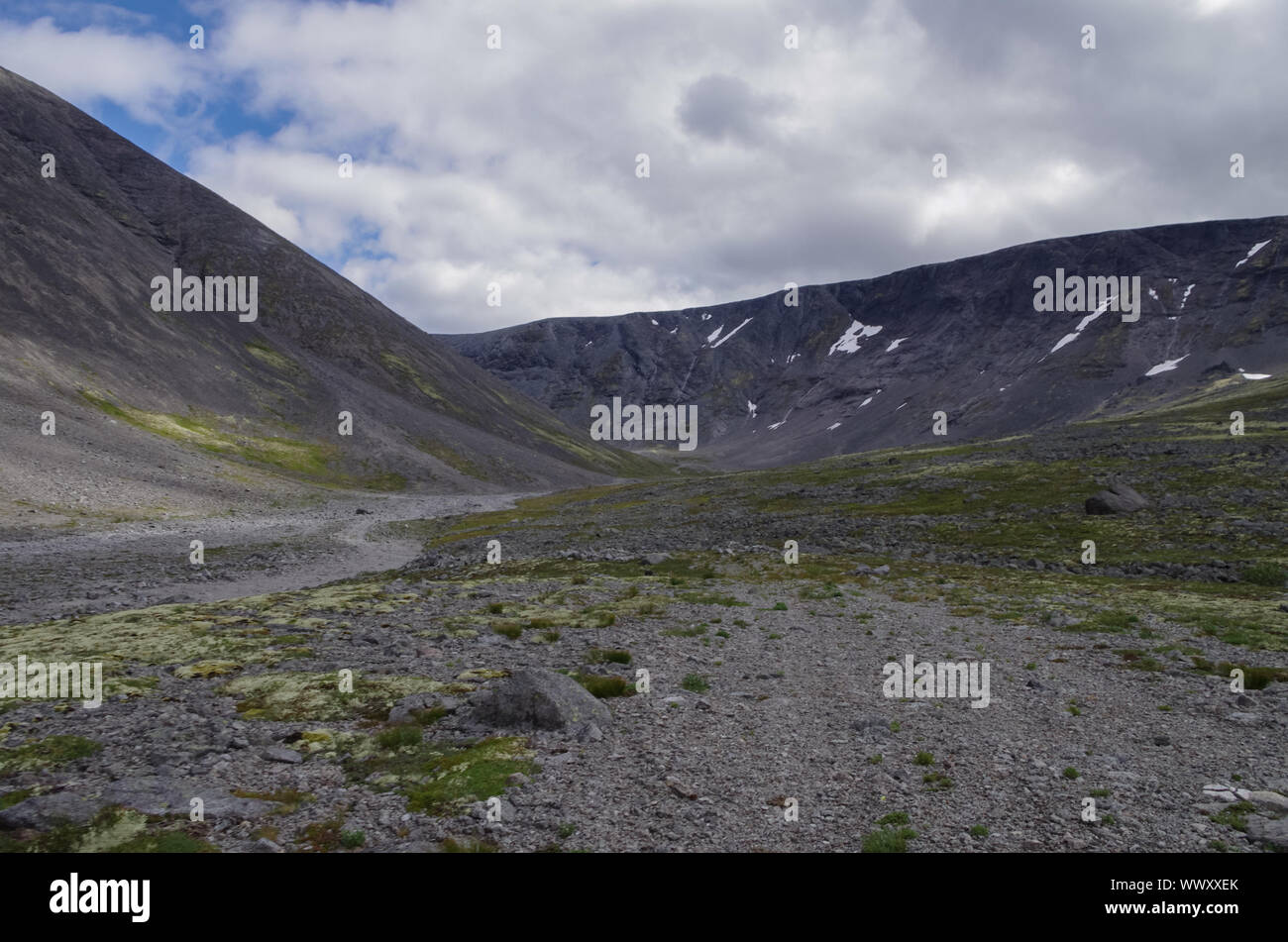 Mountain tundra with mosses and rocks covered with lichens, Hibiny ...