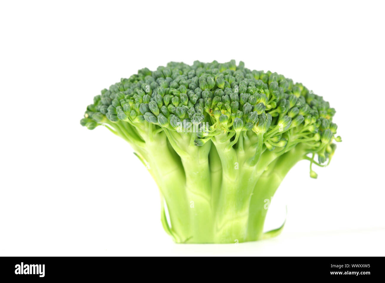 broccoli isolated on white background Stock Photo - Alamy