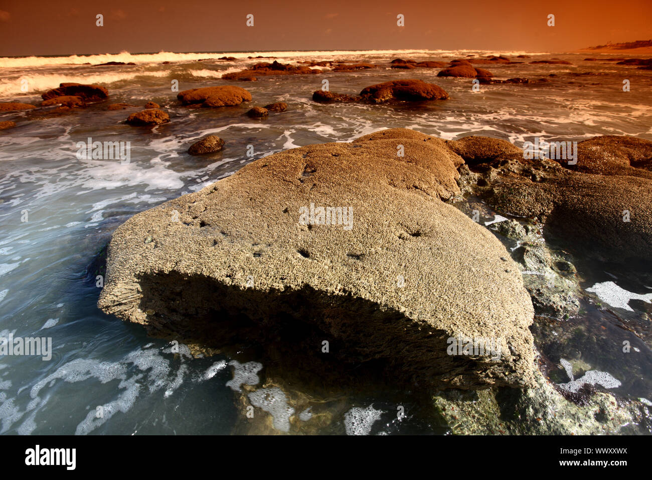 Reef stones an ocean water Stock Photo - Alamy