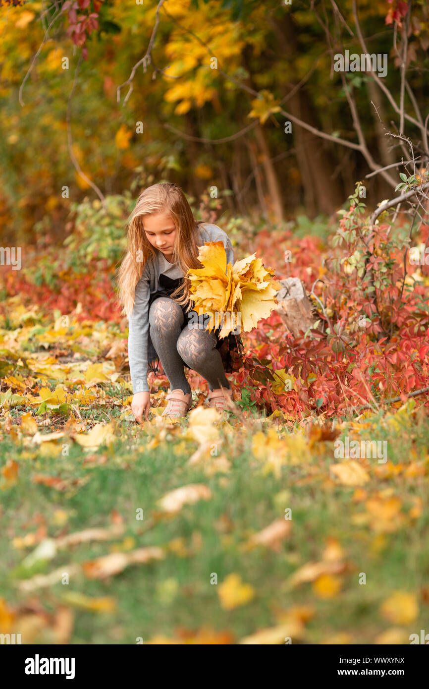 Beautiful little girl gathering autumn leaves in the park outdoor Stock ...