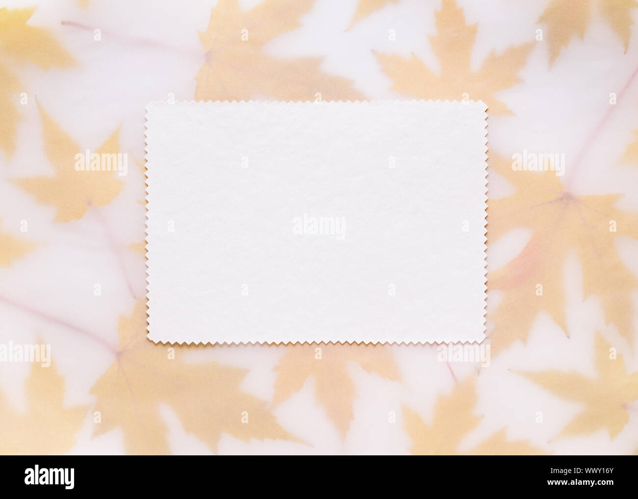 Fall foliage background hi-res stock photography and images - Alamy