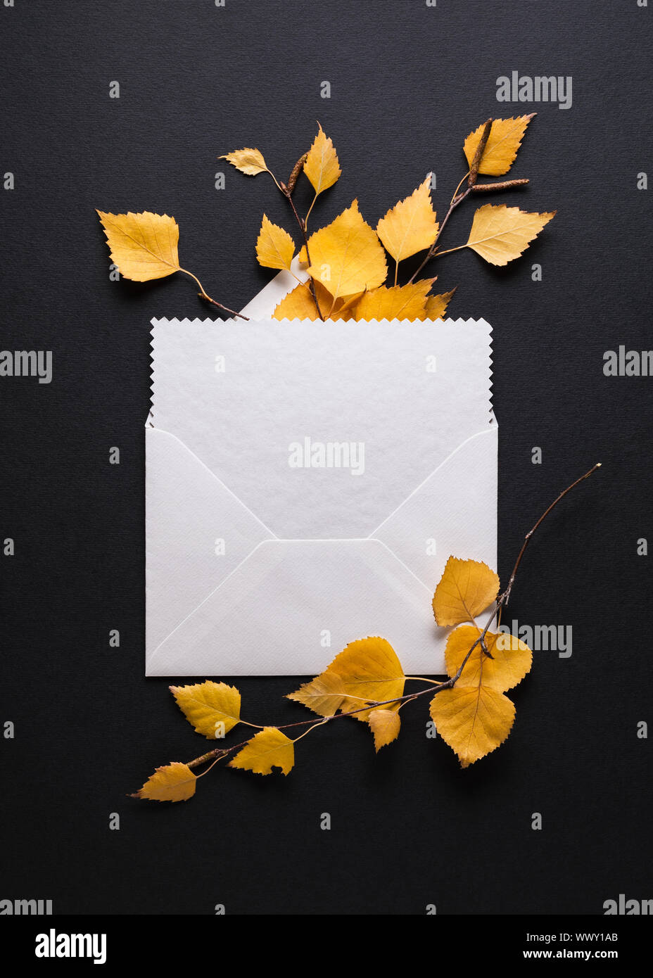 Envelope with a congratulation on a black background. Autumn card with ...
