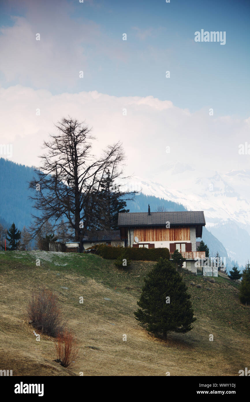 chalet in alpine mountains Stock Photo - Alamy
