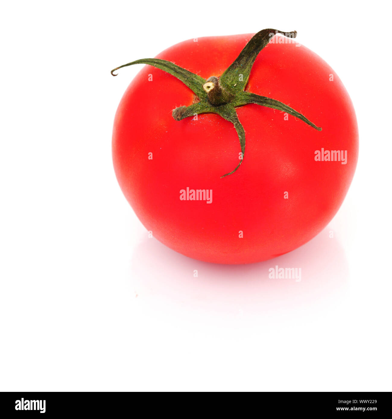 one tomato isolated on white Stock Photo - Alamy