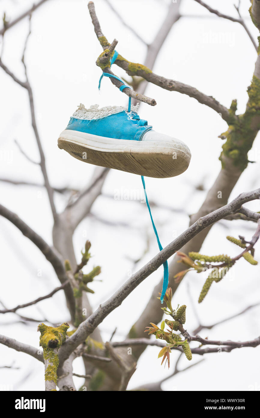 On a tree branch hanging shoe girl Stock Photo - Alamy