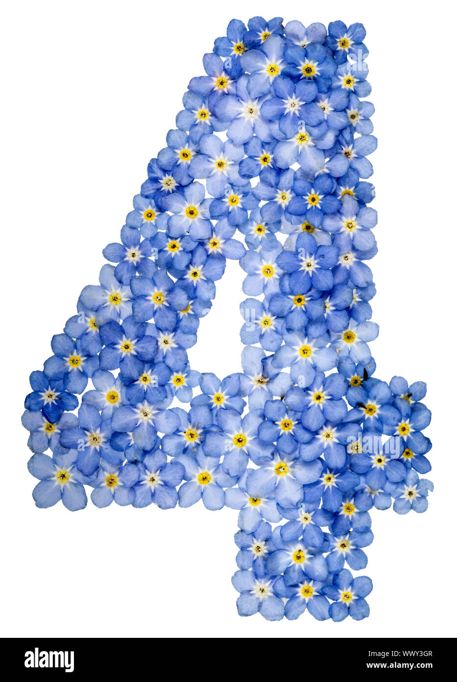 Arabic numeral 4, four, , from blue forget-me-not flowers Stock Photo ...