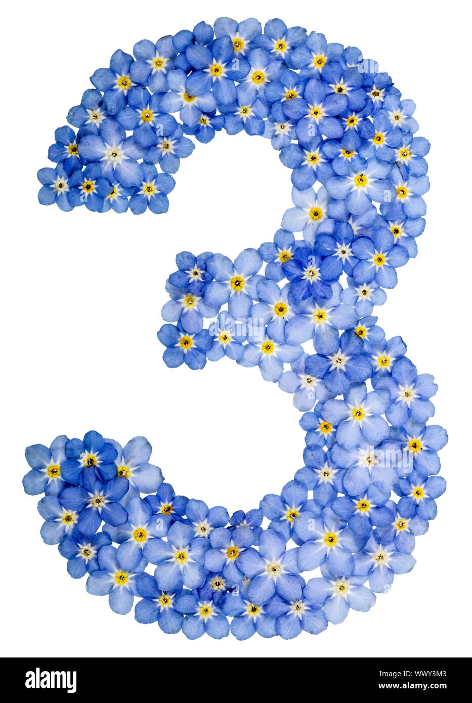 Arabic numeral 3, three,, from blue forget-me-not flowers Stock Photo ...
