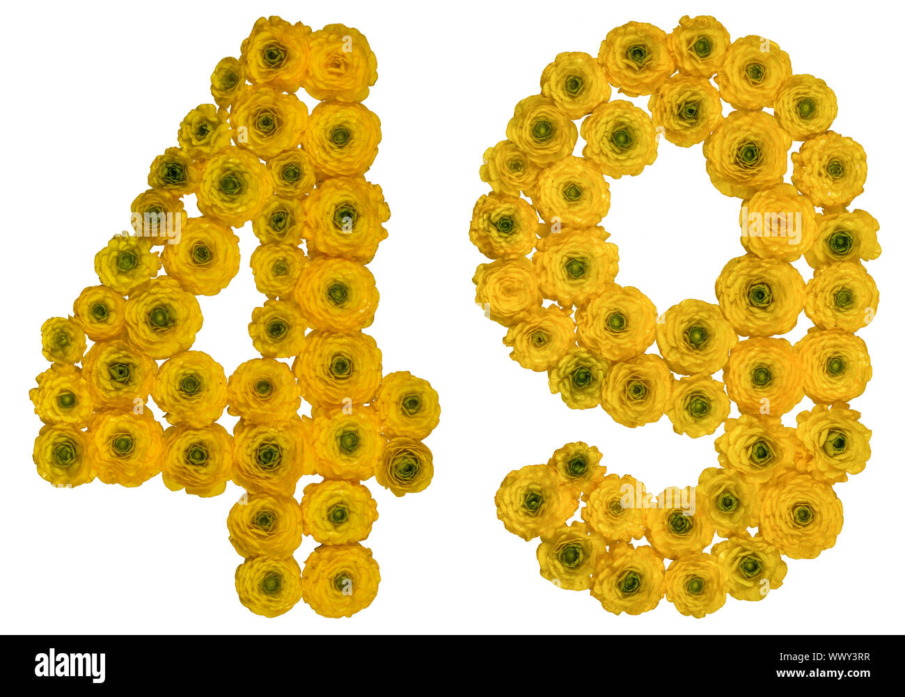 Arabic numeral 49, forty nine, from yellow flowers of buttercup ...