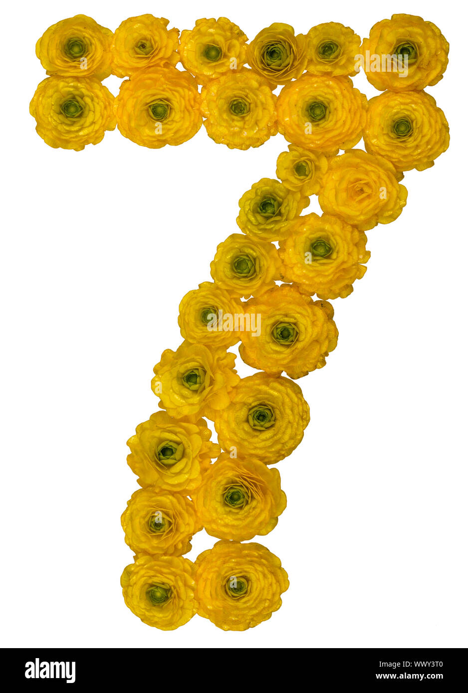 Arabic numeral 7, seven, from yellow flowers of buttercup, isolated on ...