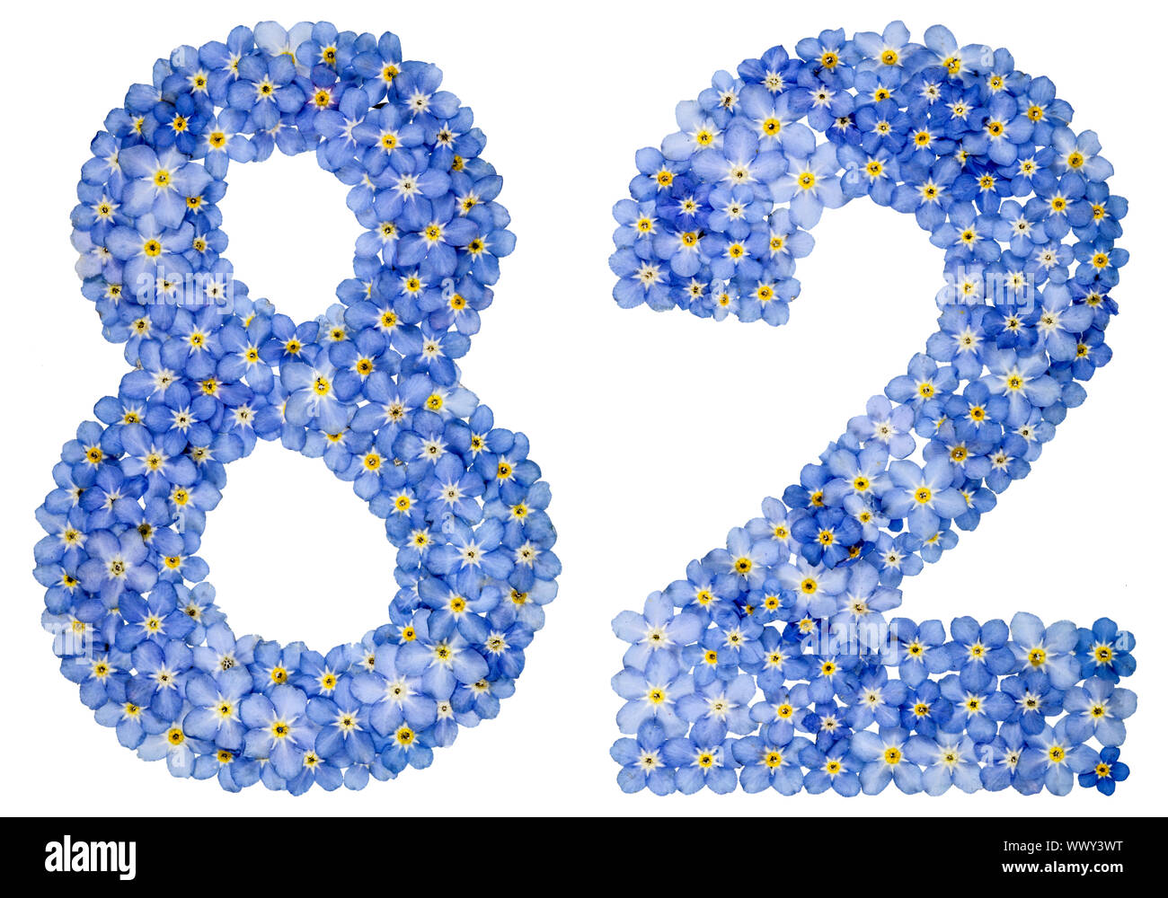 Arabic numeral 82, eighty two, from blue forget-me-not flowers Stock ...